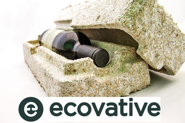 Ecovative celebrates its 15th anniversary – Boston Mycological Club